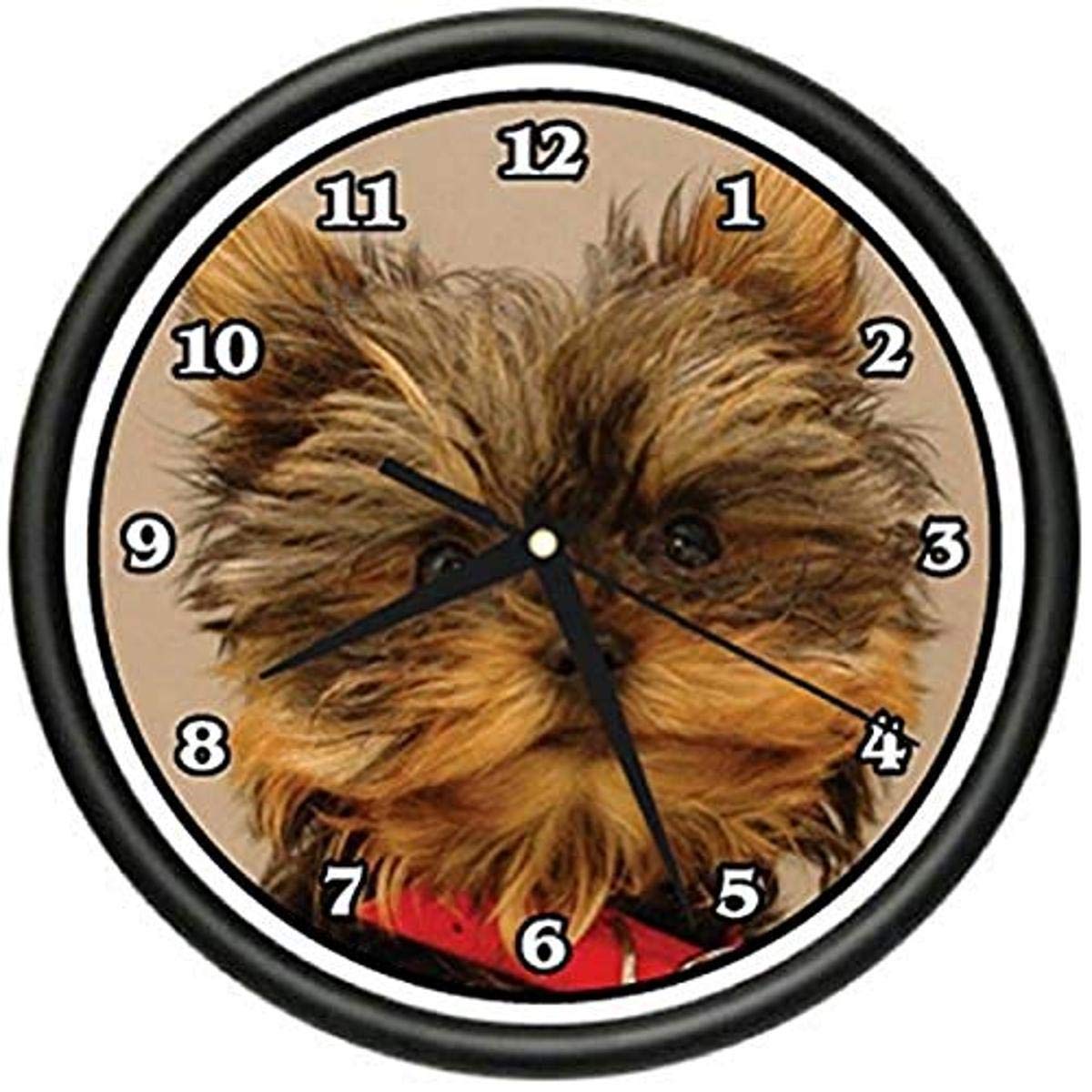 Amazon.com: SignMission Beagle Teacup Yorkie Wall Clock Dog Doggie pet ...