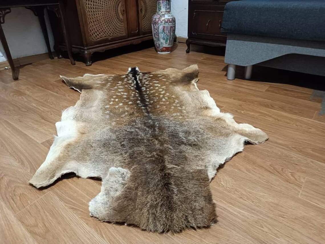 Amazon.com: Large Fallow Deerskin Hide Area Rug Fur (DAMA DAMA) Home ...