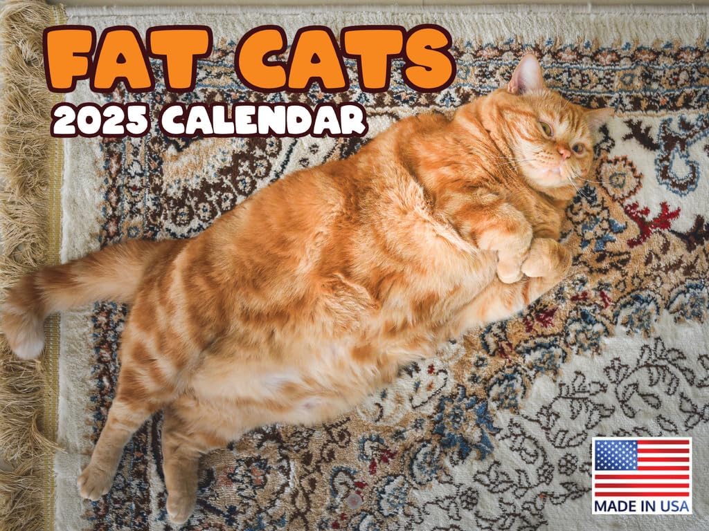 Amazon.co.jp: Fat Cat カレンダー 2025年 マンスリー 壁掛けカレンダー 12か月 : ホーム＆キッチン