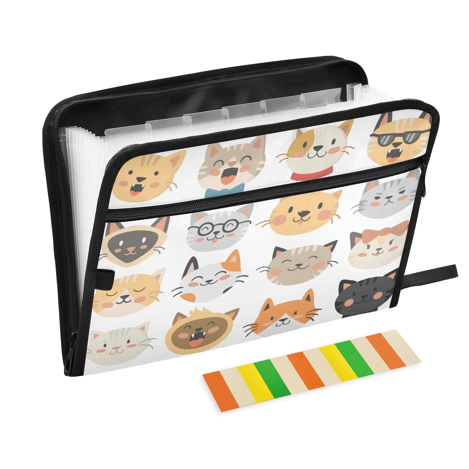 Amazon.com : Funny Cats Expanding File Folder with Sticky Labels, 13 ...