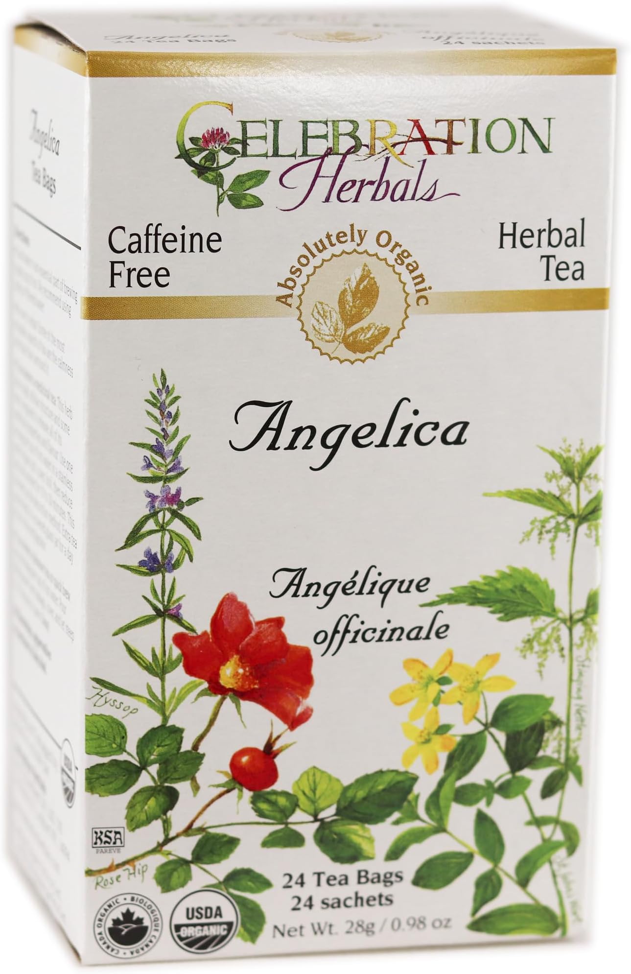 Amazon.com: CELEBRATION HERBALS Angelica Root Organic 24 Bag, 0.02 ...