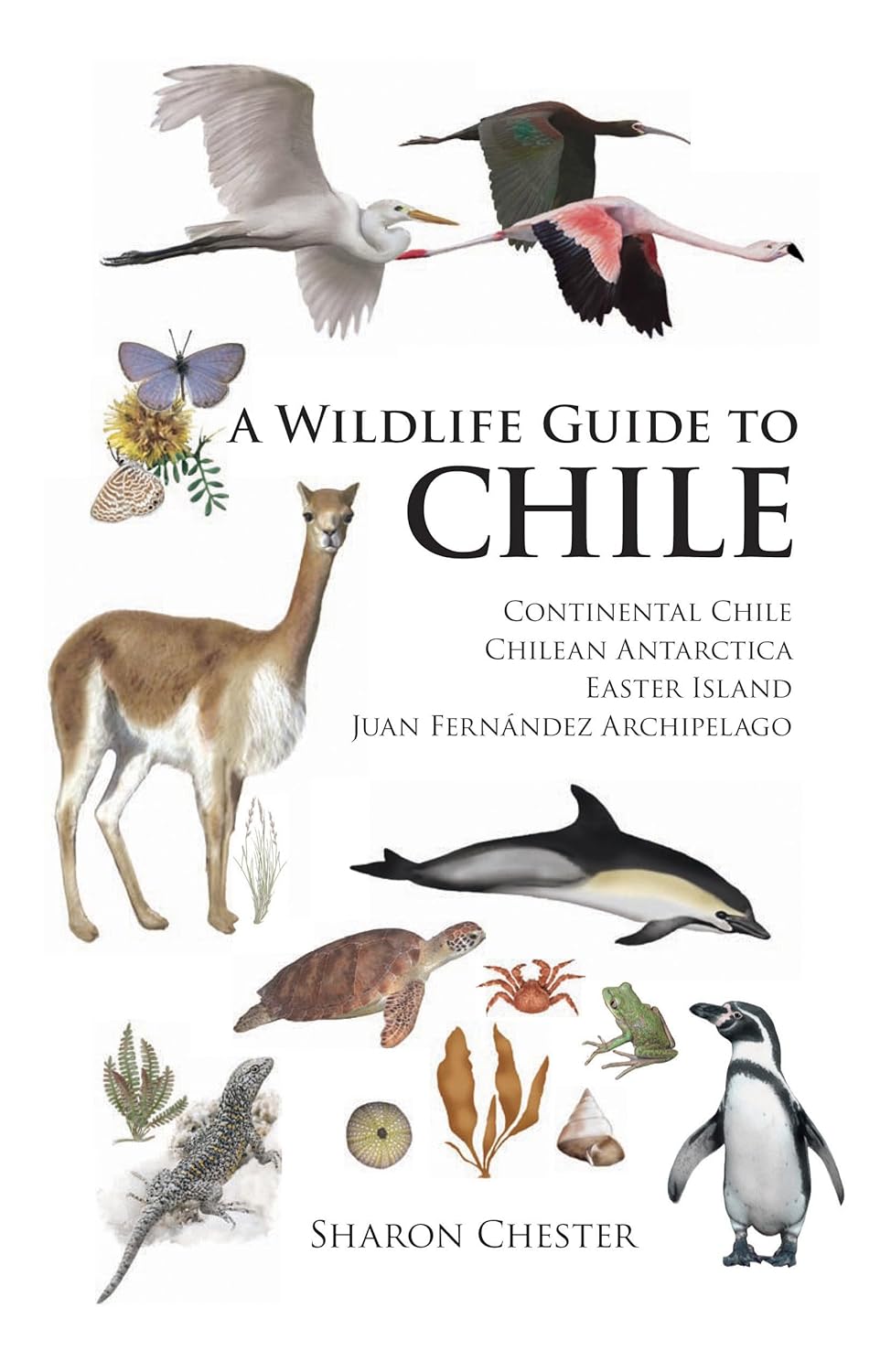 A Wildlife Guide to Chile (Field Guides): Amazon.co.uk: Sharon Chester ...