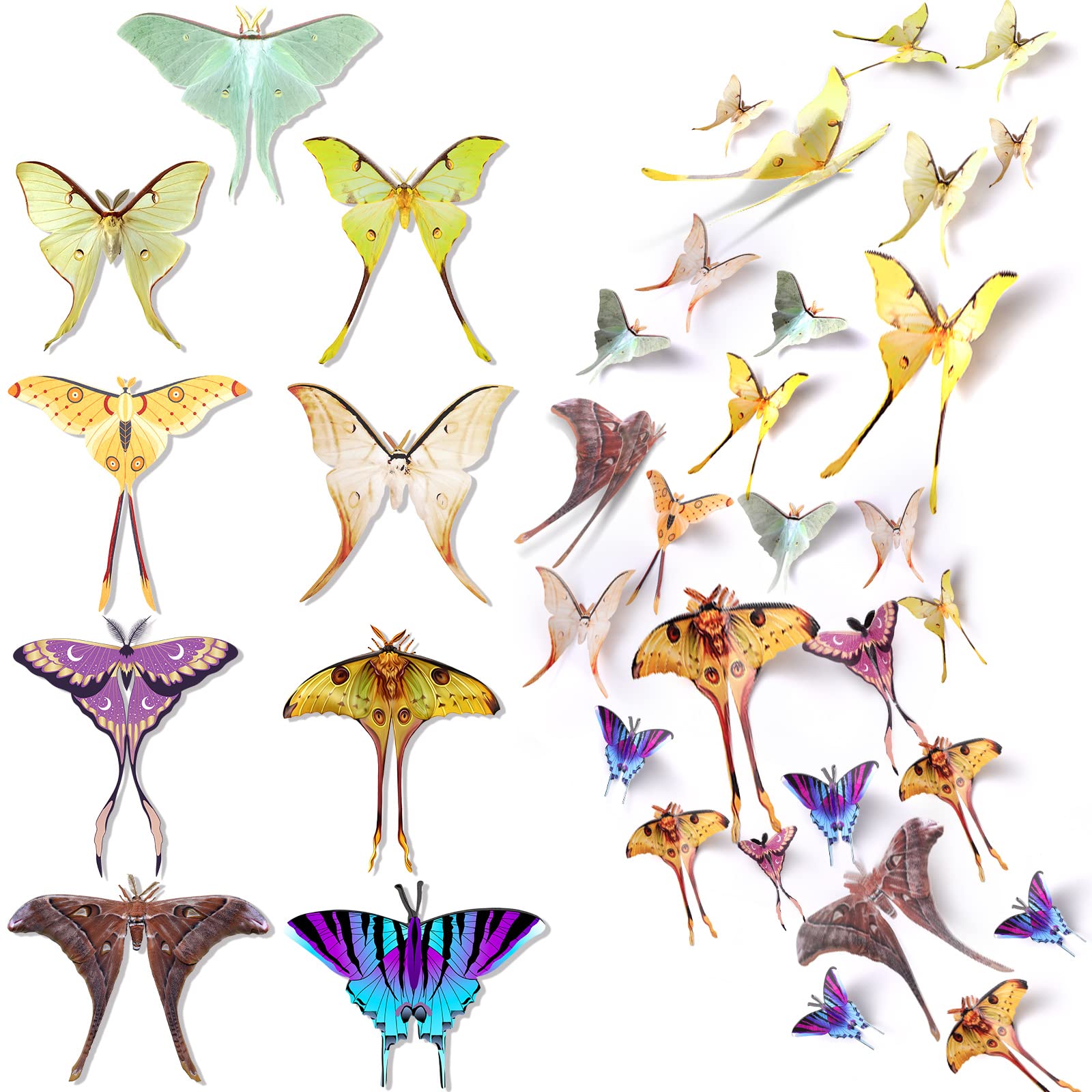 Amazon.com: Rtteri 63 Pcs Butterfly Wall Stickers Butterflies Wall ...