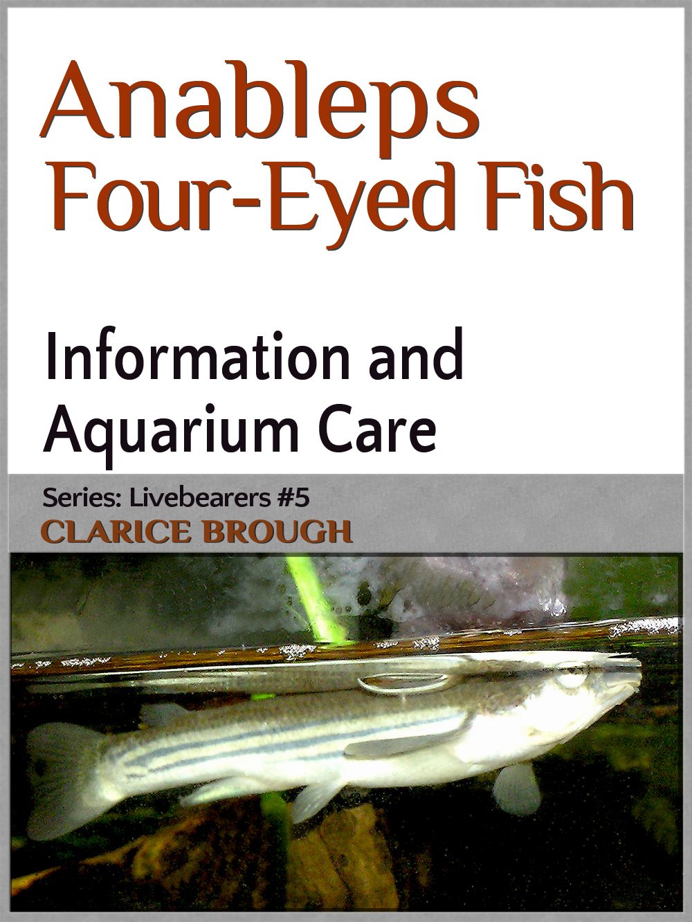 Four-Eyed Fish (Livebearing Fish Book 5) , Brough, Clarice - Amazon.com