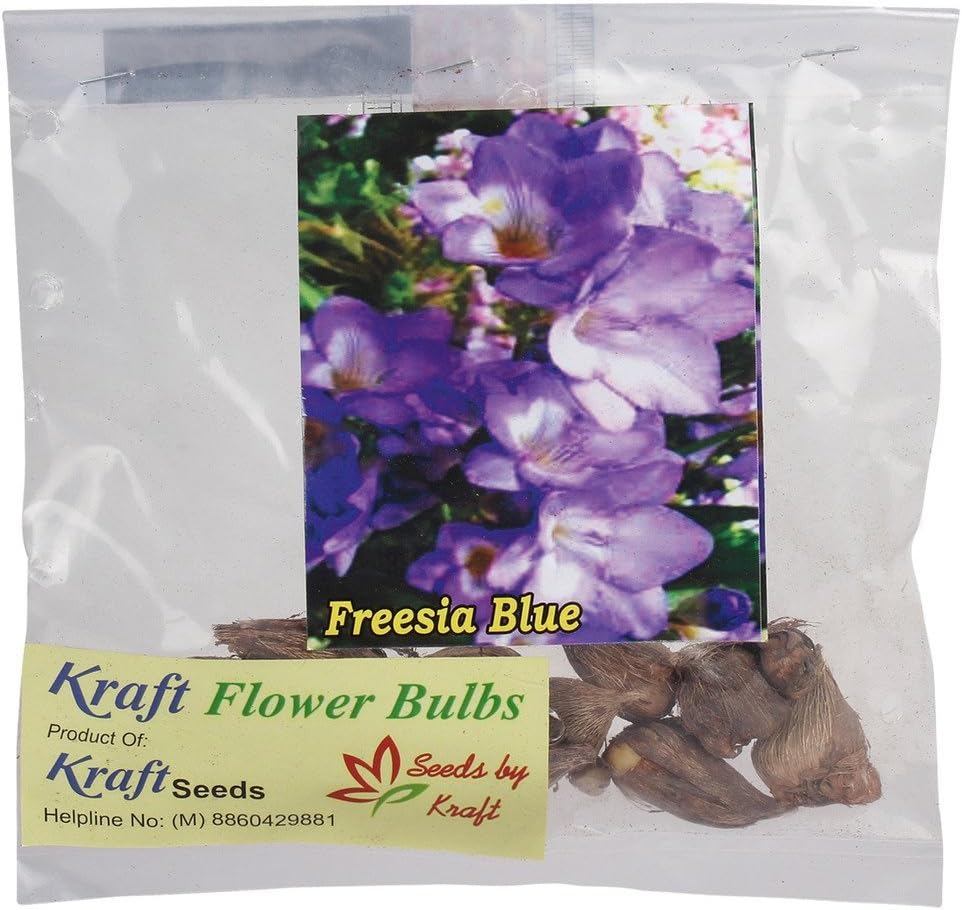 Amazon.com : Freesia Flower Bulbs Blue (10 Bulbs) by Kraft Seeds ...