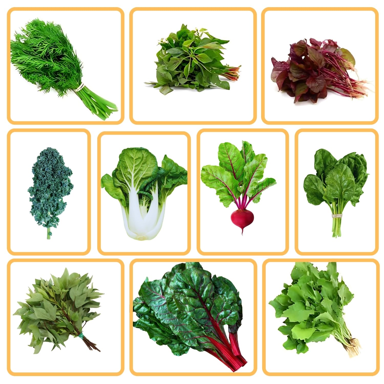 Indian Green Vegetables Why Having Leafy Vegetables At The Beginning