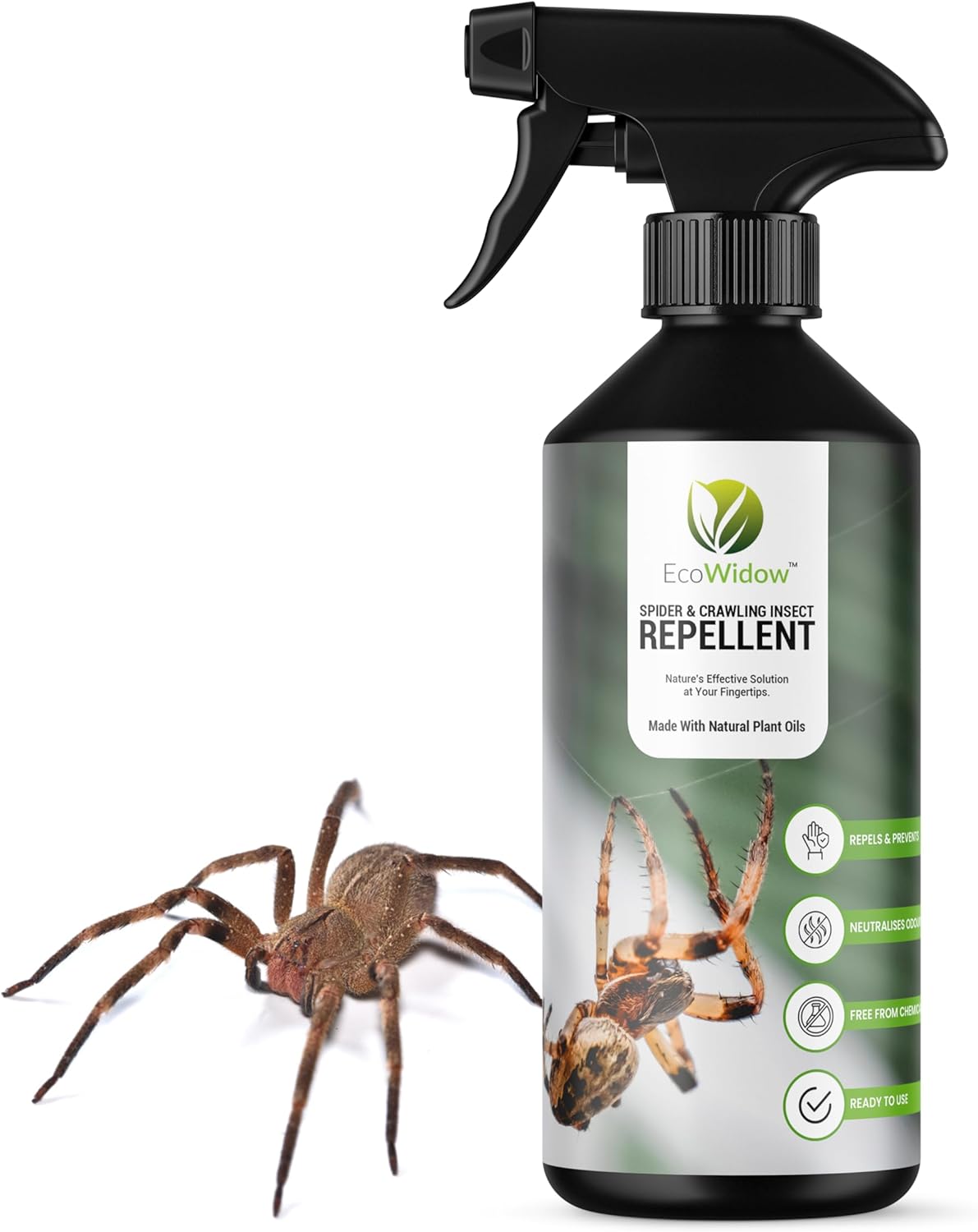 EcoWidow Spider Repellent Spray - Natural Peppermint Oil Insect ...