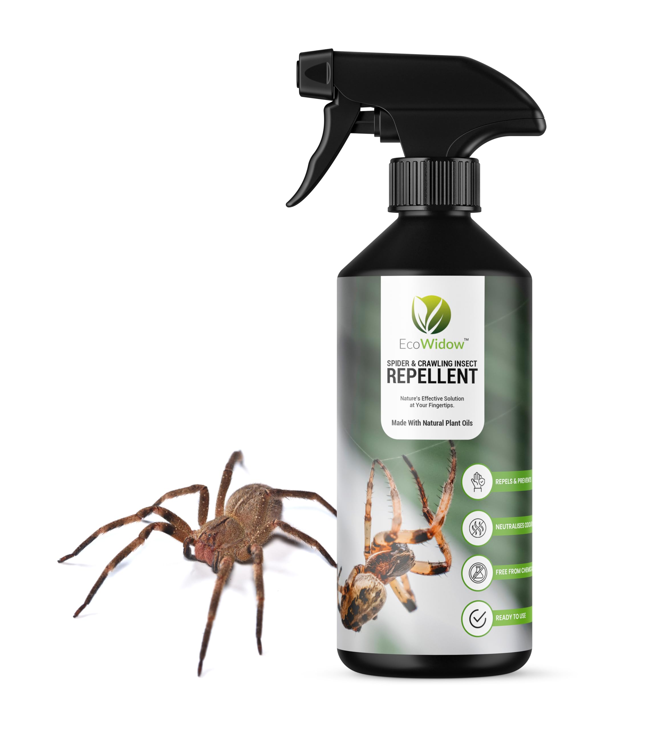 Spider Repellent Spray Natural Peppermint Oil Insect And Cobweb Remover ...