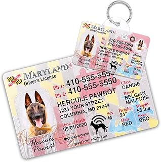 Temporary Tags In Maryland: How To Get Them For Your Car | ShunAuto