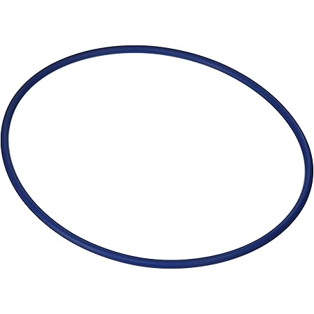 Amazon.com: Hayward GMX600F Valve O-Ring Replacement for Hayward S144T ...
