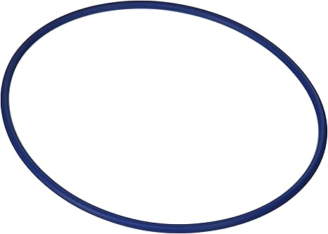 Amazon.com: Hayward GMX600F Valve O-Ring Replacement for Hayward S144T ...