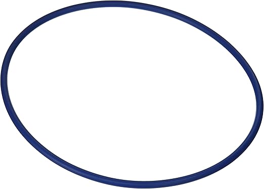 Amazon.com: Hayward GMX600F Valve O-Ring Replacement for Hayward S144T ...