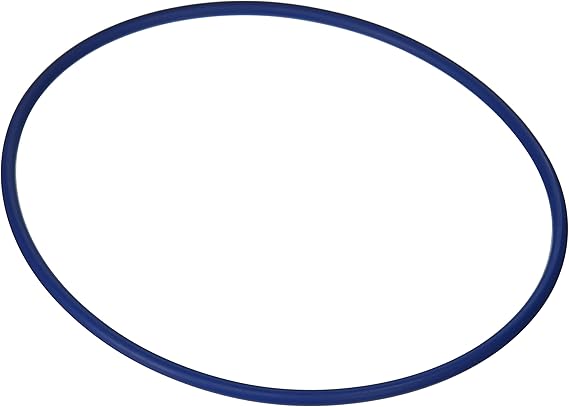 Amazon.com: Hayward GMX600F Valve O-Ring Replacement for Hayward S144T ...
