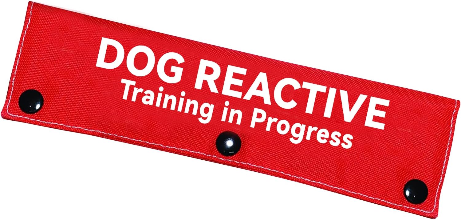 Amazon.com : Advivio Reactive Training in Progress Funny Red Dog Leash ...