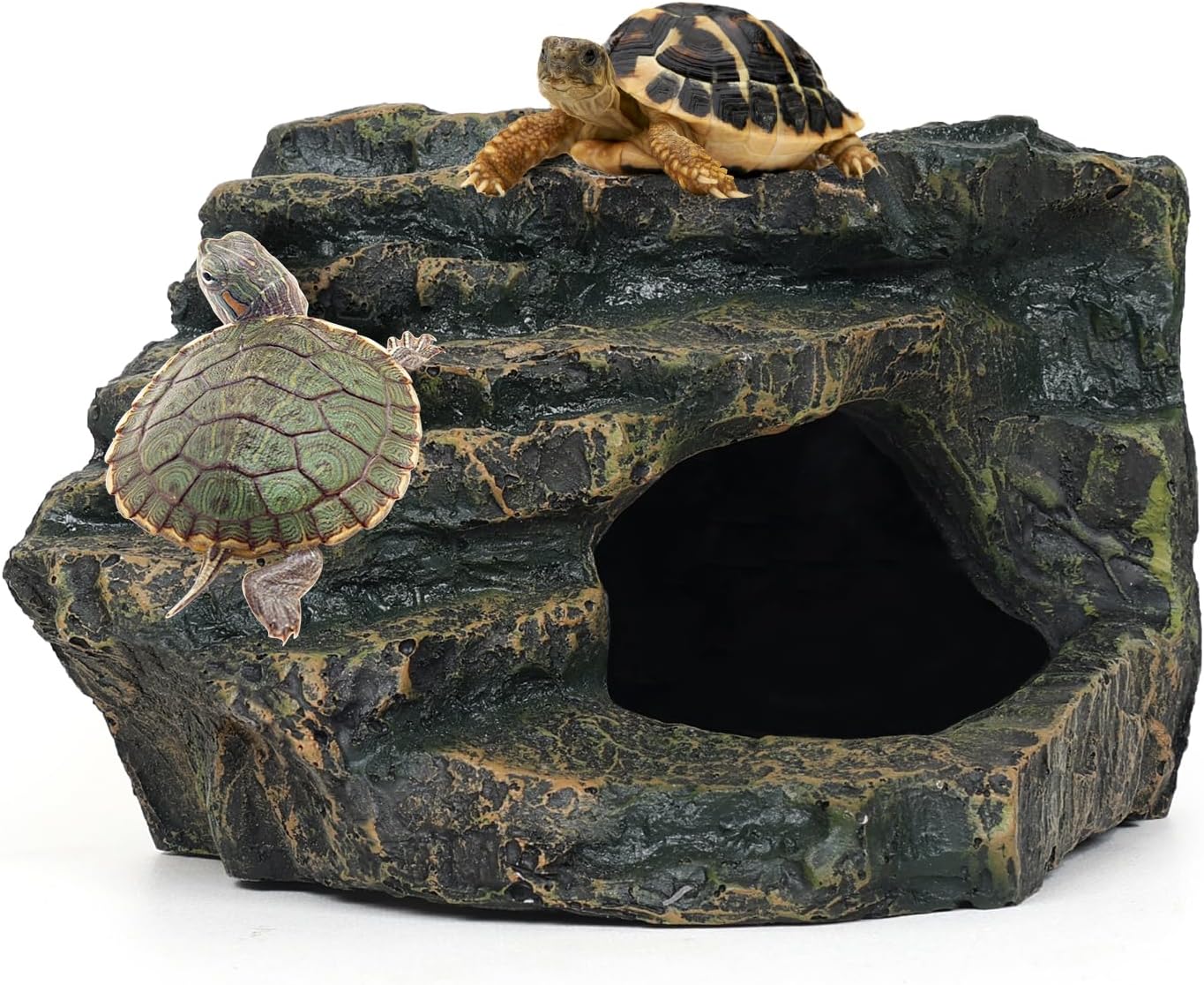 Amazon.com : Aquazoo Reptile Tank Accessories, Turtle Tank Accessories ...