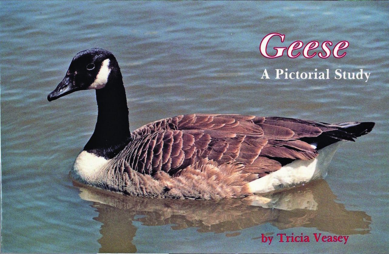 Geese: A Pictorial Study: Veasey, Tricia: 9780887401176: Amazon.com: Books