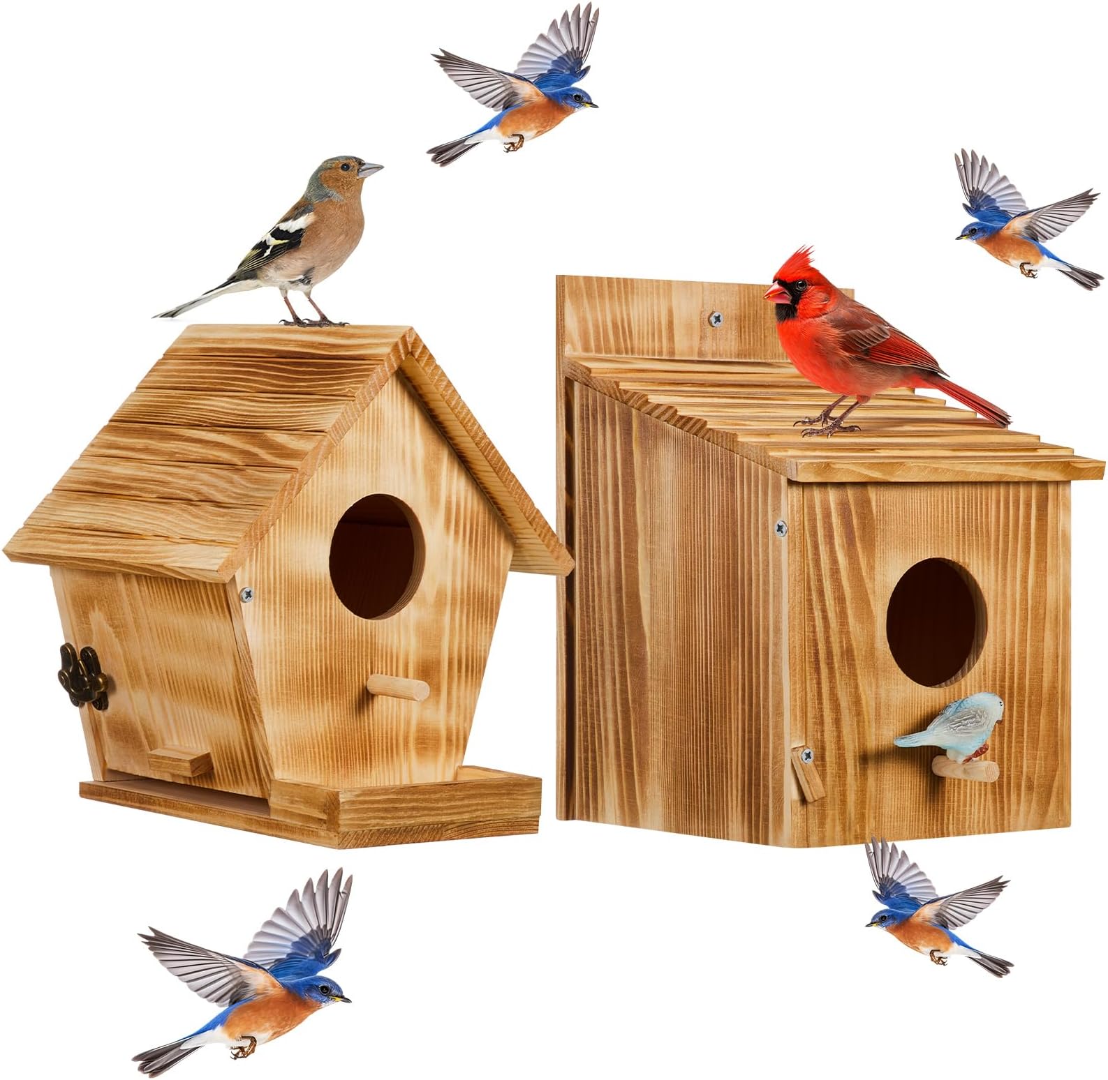 Amazon.com: Liliful 2 Pcs Bird Houses for Outside Bluebird Box House ...