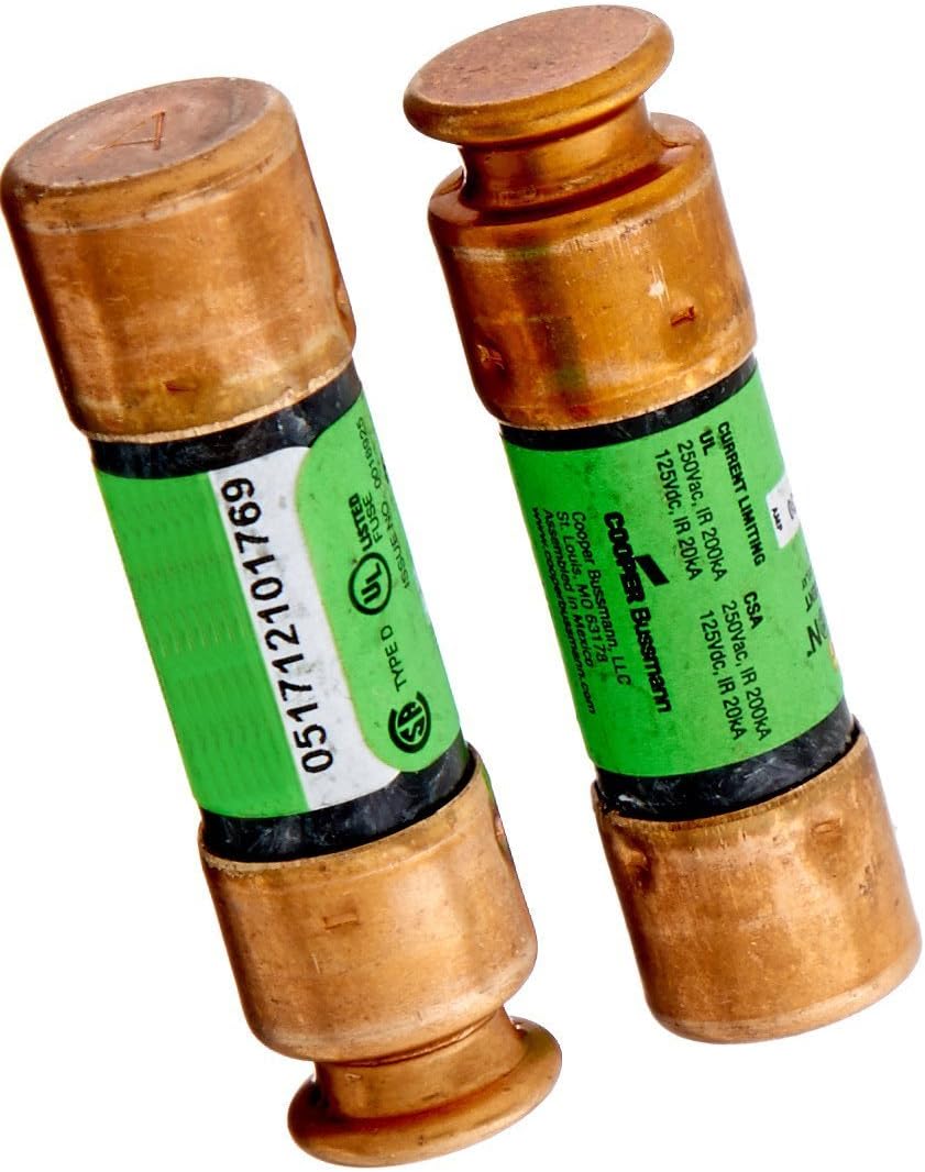 Bussman BP/FRN-R-30 30 Amp 250 Volt Time Delay Fuse 2 Count - Amazon.com