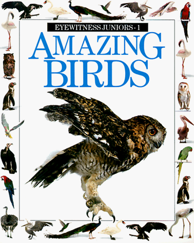 Amazing Birds (Eyewitness Junior): Dorling Kindersley Ltd ...