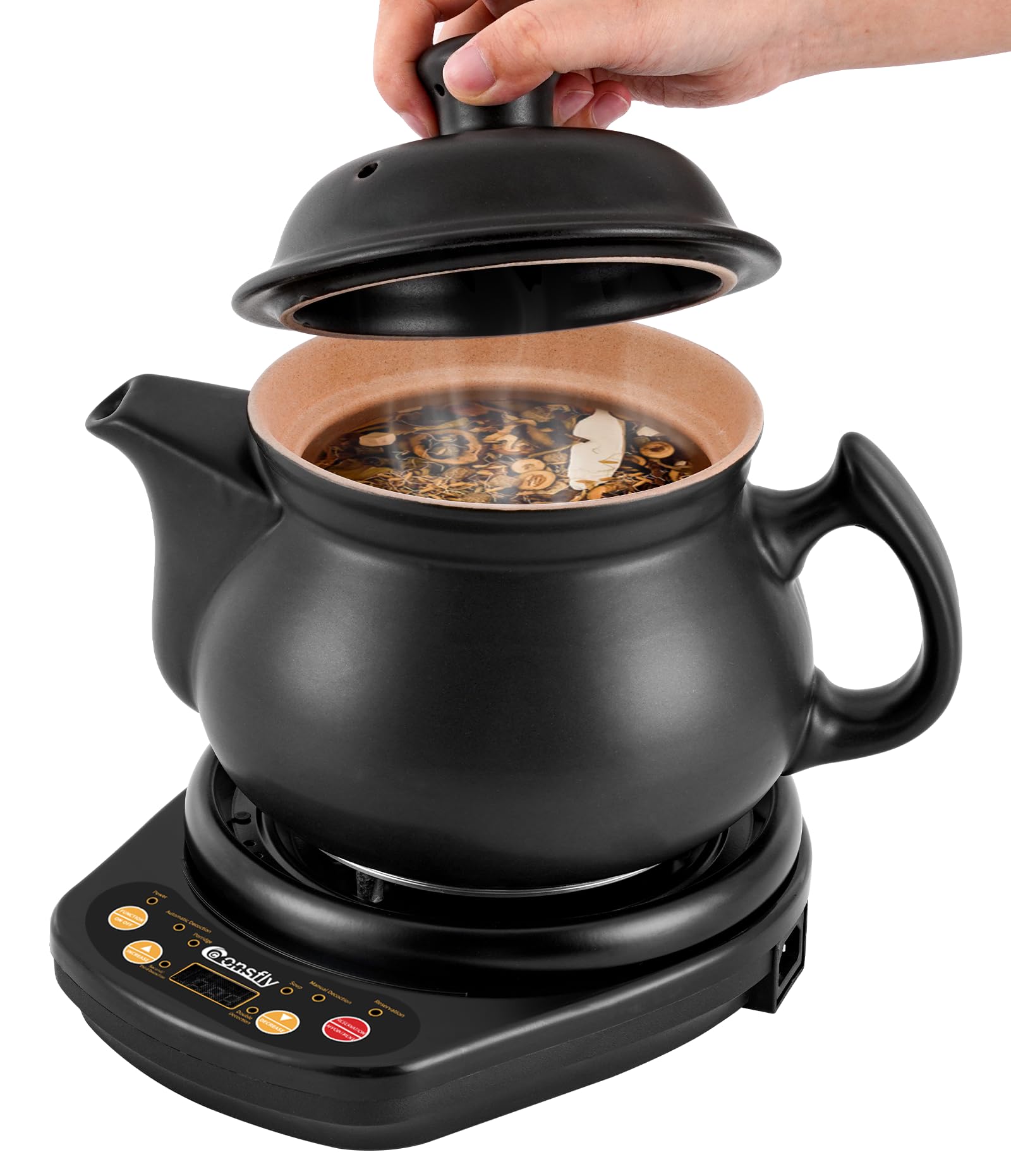 Amazon.com: Chinese Medicine Cooking Pot 3.17 qt Electric Herbal ...