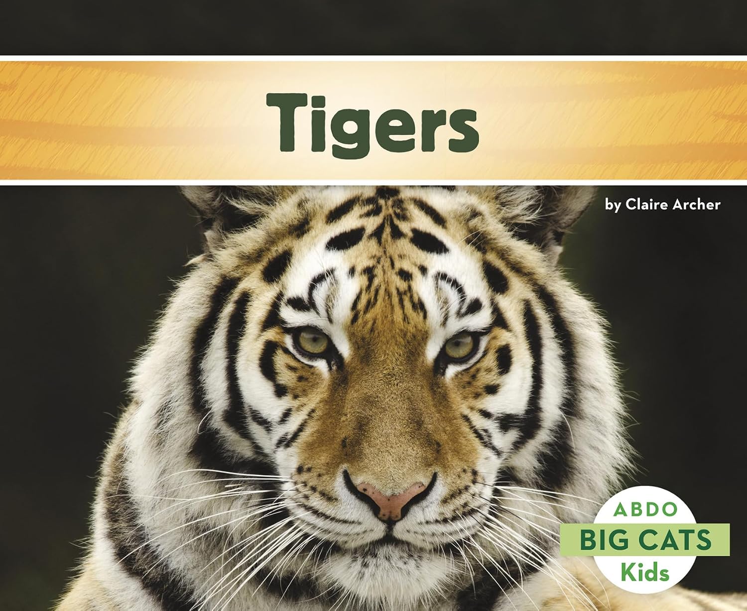 Tigers (Big Cats): Archer, Claire: 9781496610119: Amazon.com: Books