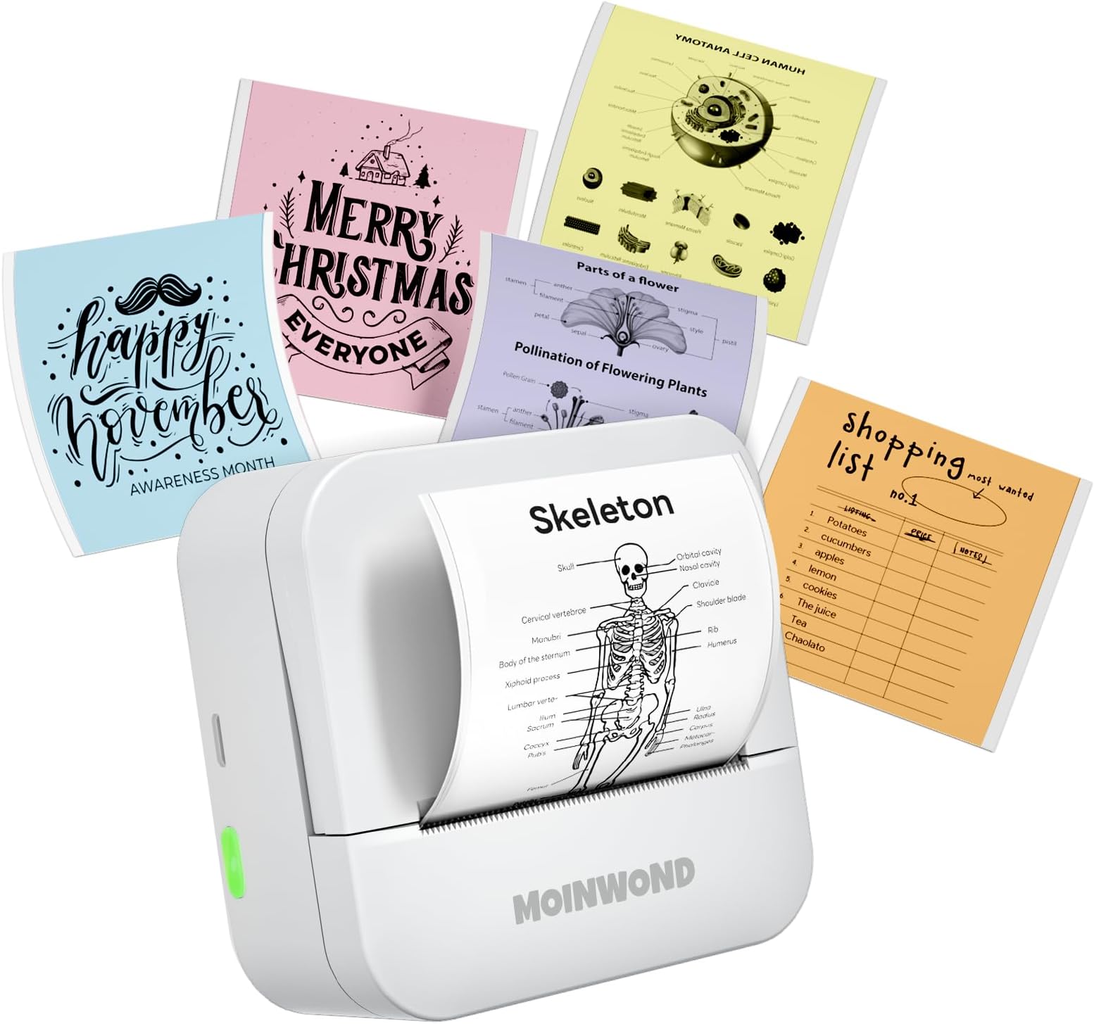 Amazon.com: Notebuddy Mini Sticker Printer Doodle Dash Portable Thermal ...