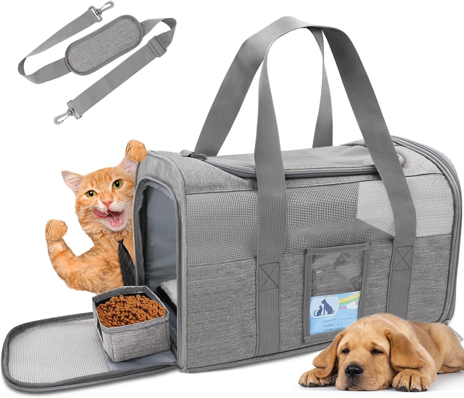 Amazon.com : Prodigen Cat Carrier Dog Carrier for Medium Dogs Dog ...