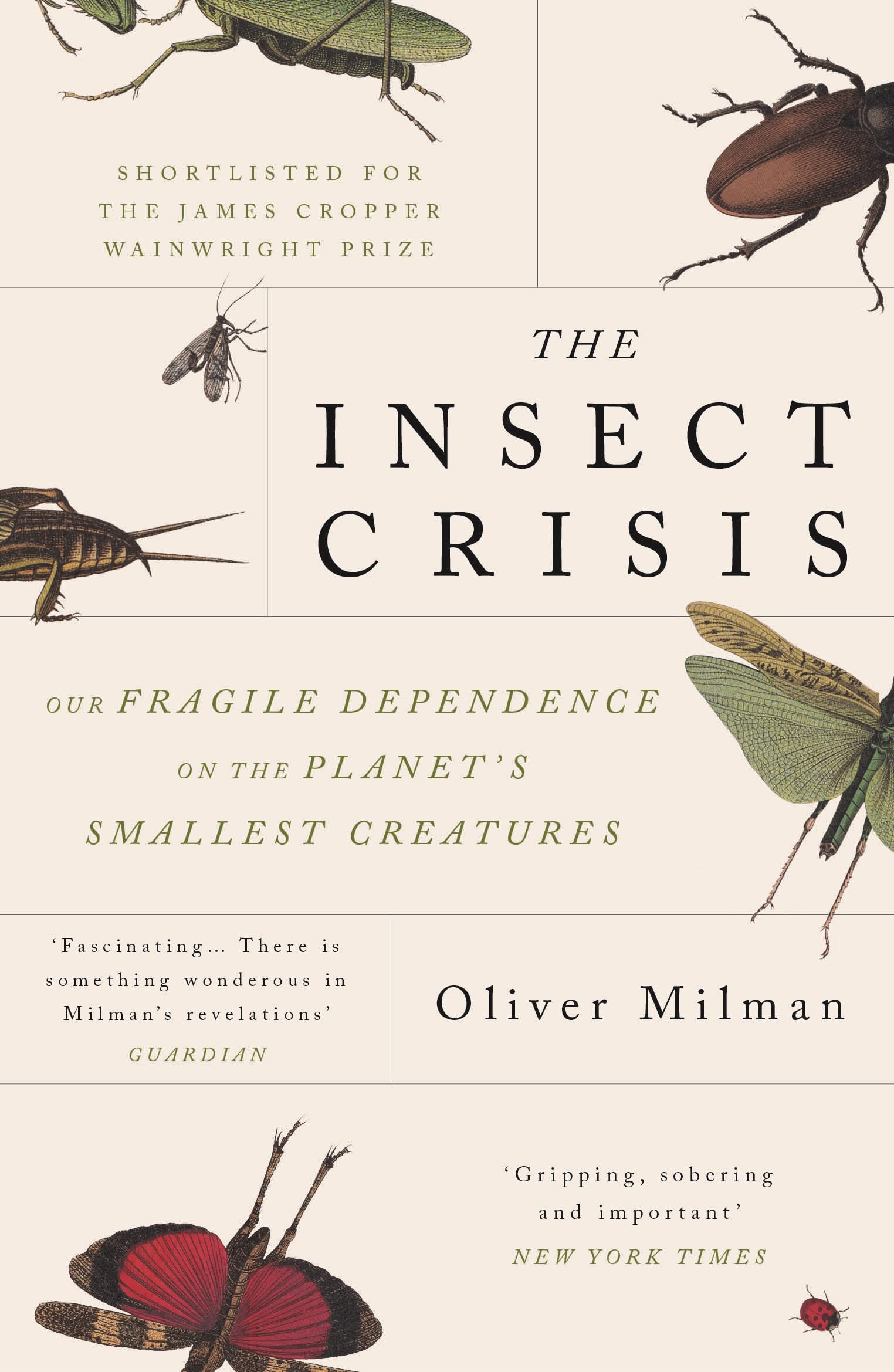 Amazon | The Insect Crisis: Our Fragile Dependence on the Planet's ...