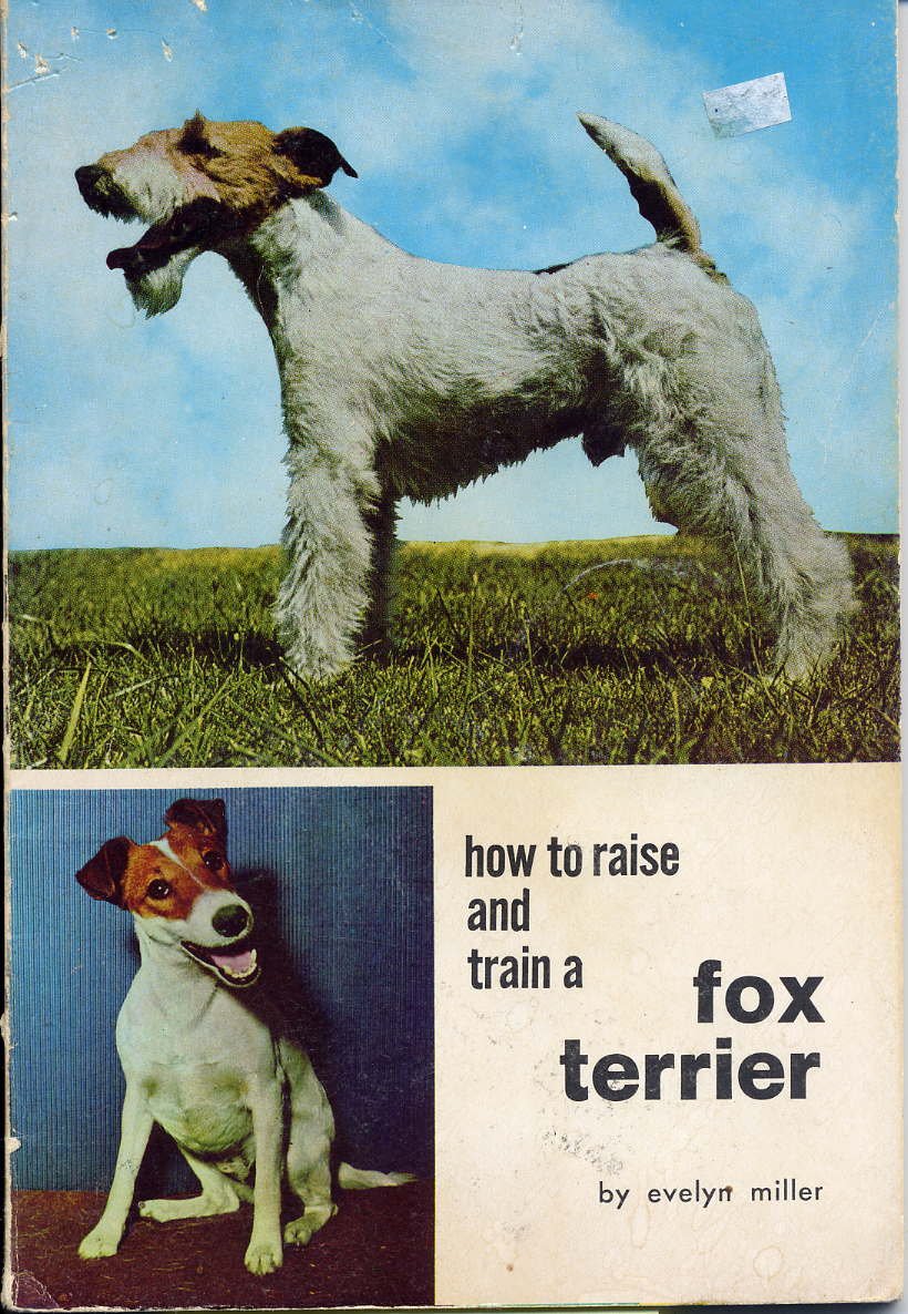 Fox Terriers (How to Raise & Train): Miller, Evelyn: 9780876662946 ...