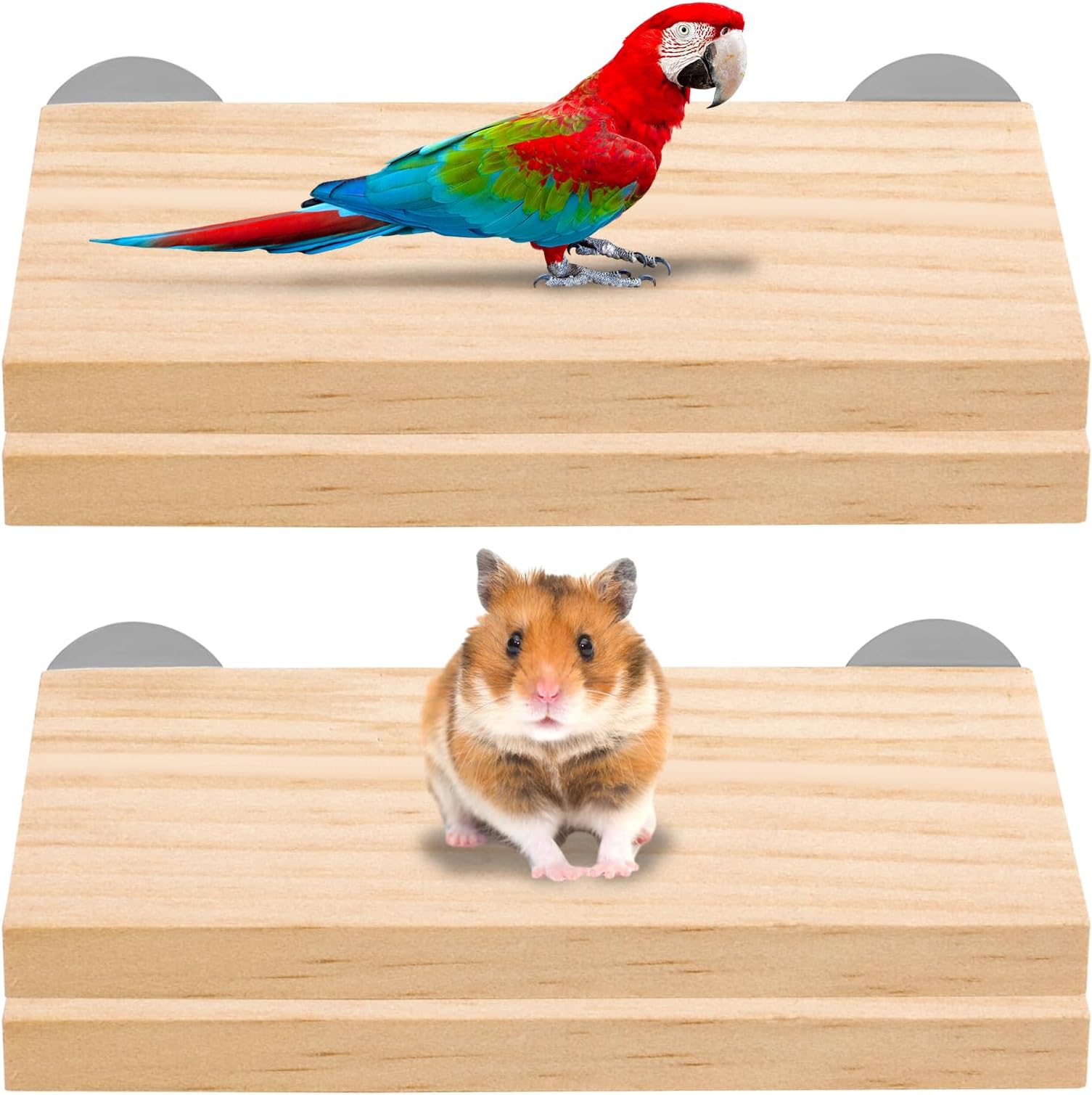 Bird Platform Natural Wood 4 PCS, Solid Wooden Birds Stand Parrot ...