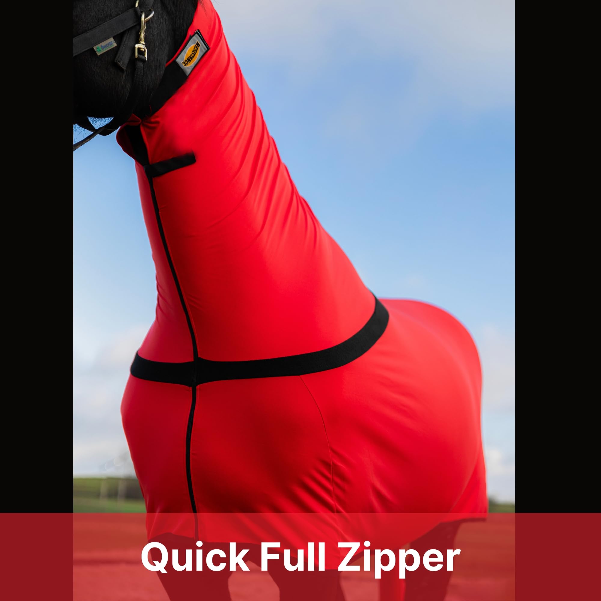 Snapklik.com : RESISTANCE Premium Horse Sleazy Full Body Slicker