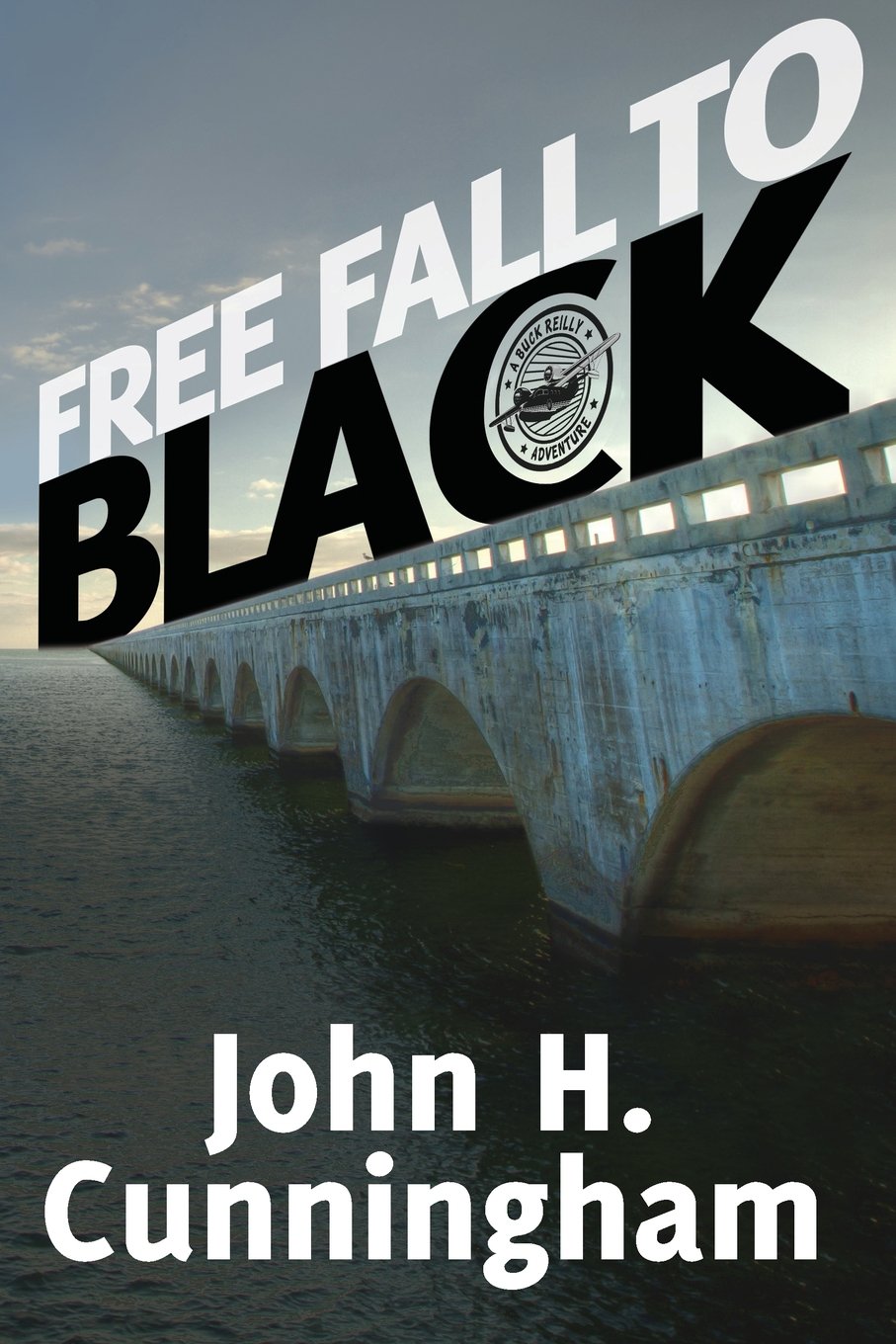 Amazon.com: Free Fall to Black (Buck Reilly Adventure Series Book ...