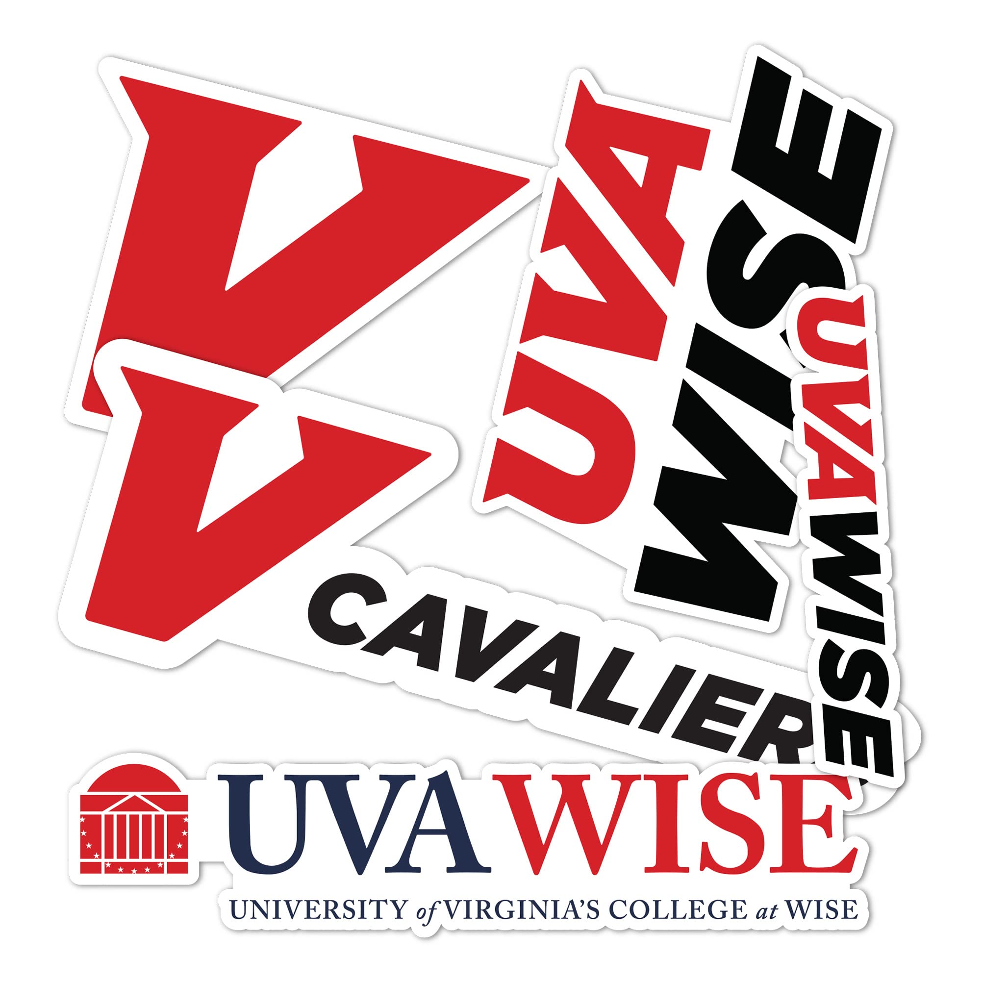 Amazon.com: Desert Cactus University of Virginia's College at Wise ...