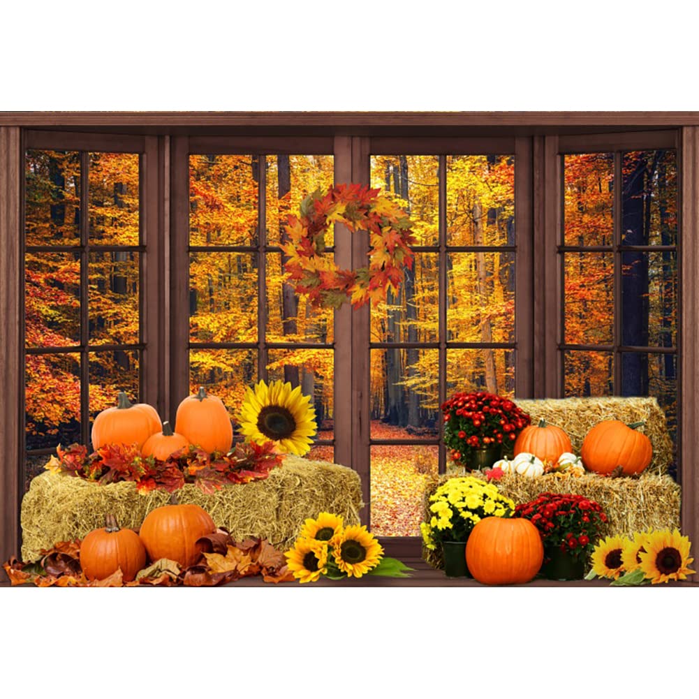 Amazon.com : Laeacco Fall Window Scenery Backdrop 10x8FT Autumn Forest ...