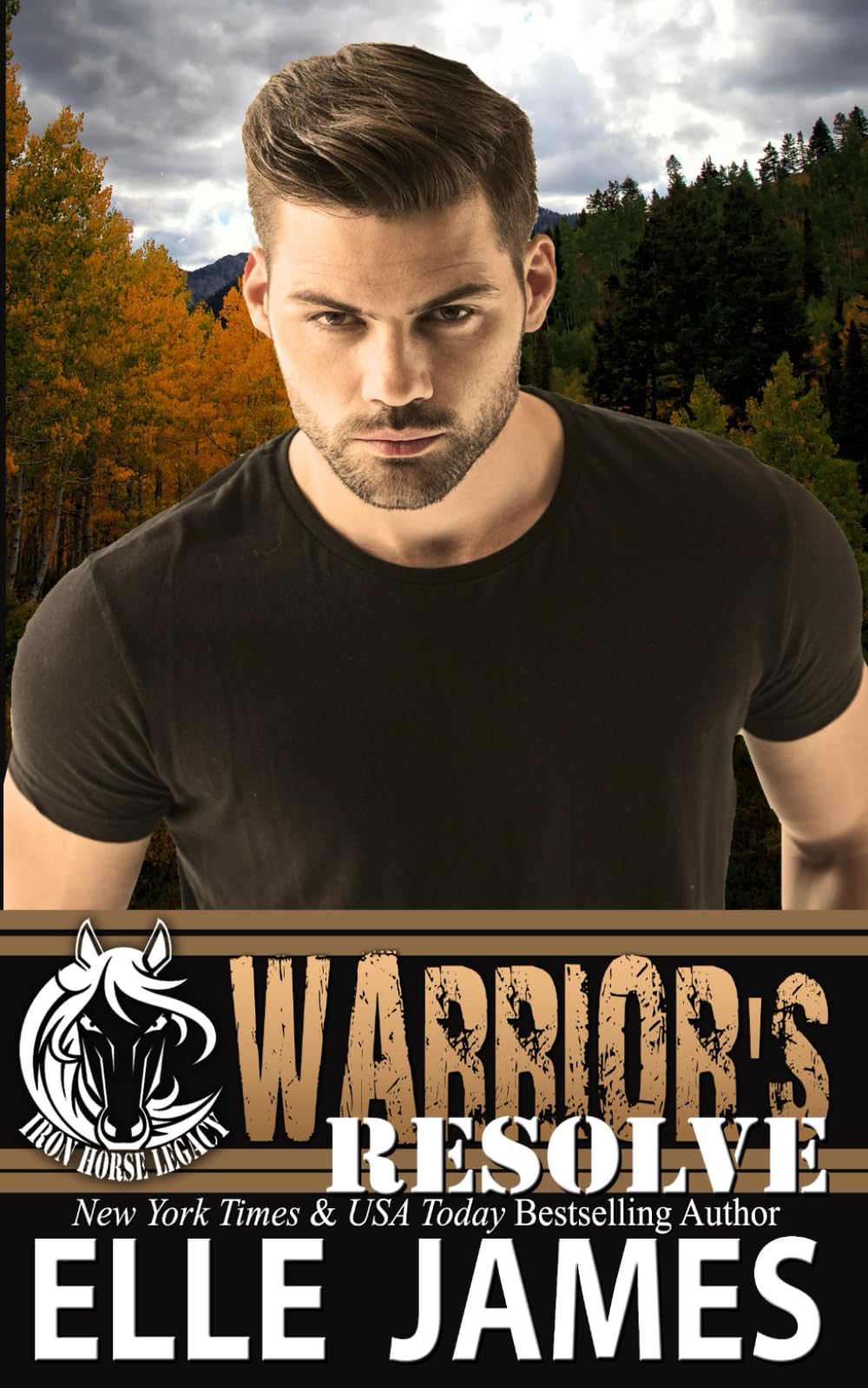 Warrior's Resolve (Iron Horse Legacy): James, Elle: 9781626953093 ...