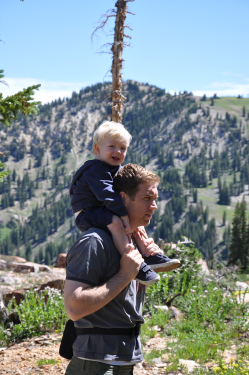 Amazon.com: Jonathan P. Groberg: books, biography, latest update