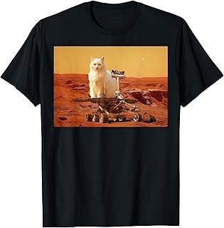 Rover Cat: A Purr-Fect Pet Companion? | PetShun