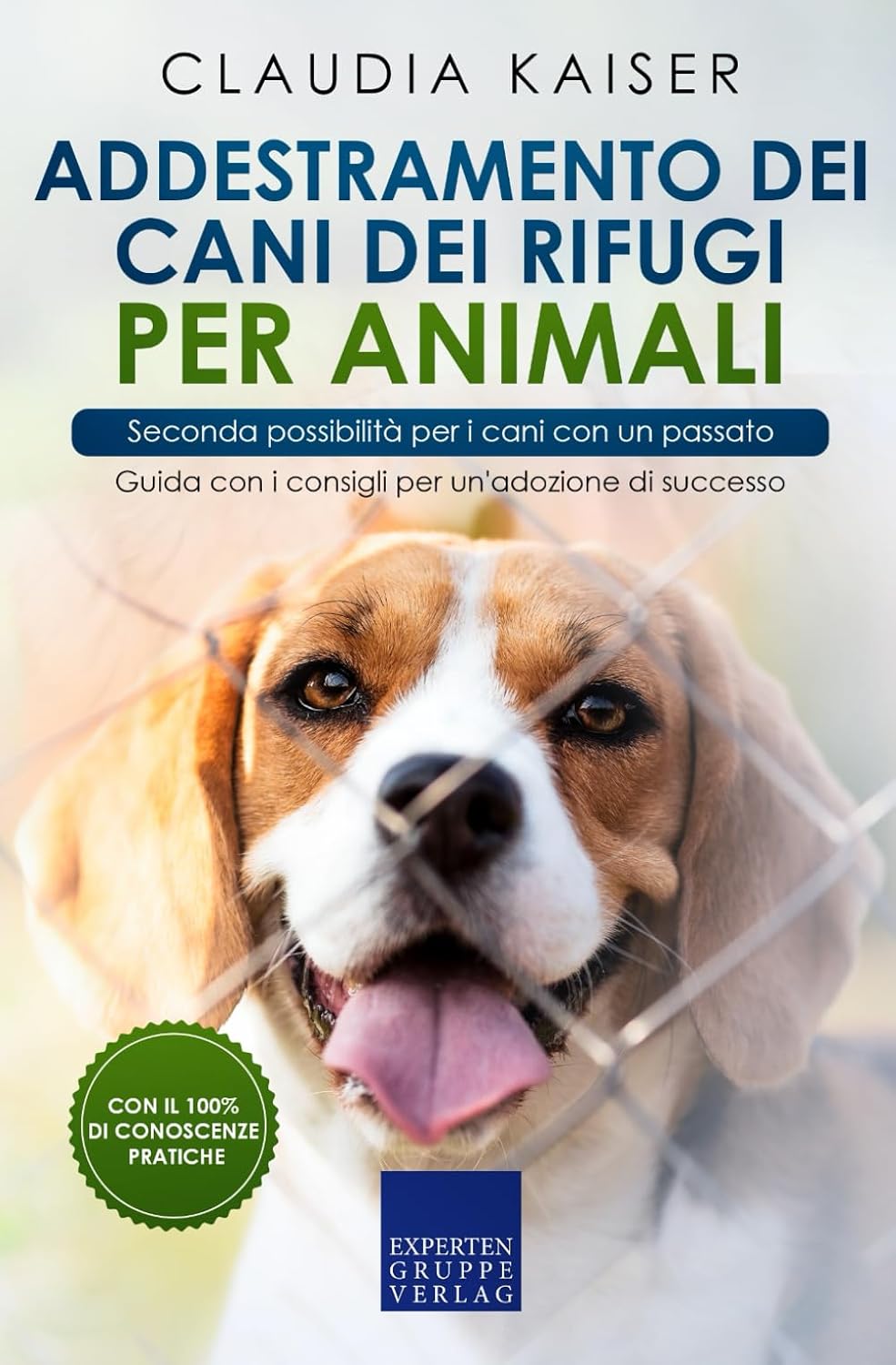 Addestramento dei cani dei rifugi per animali - Seconda possibilità per ...