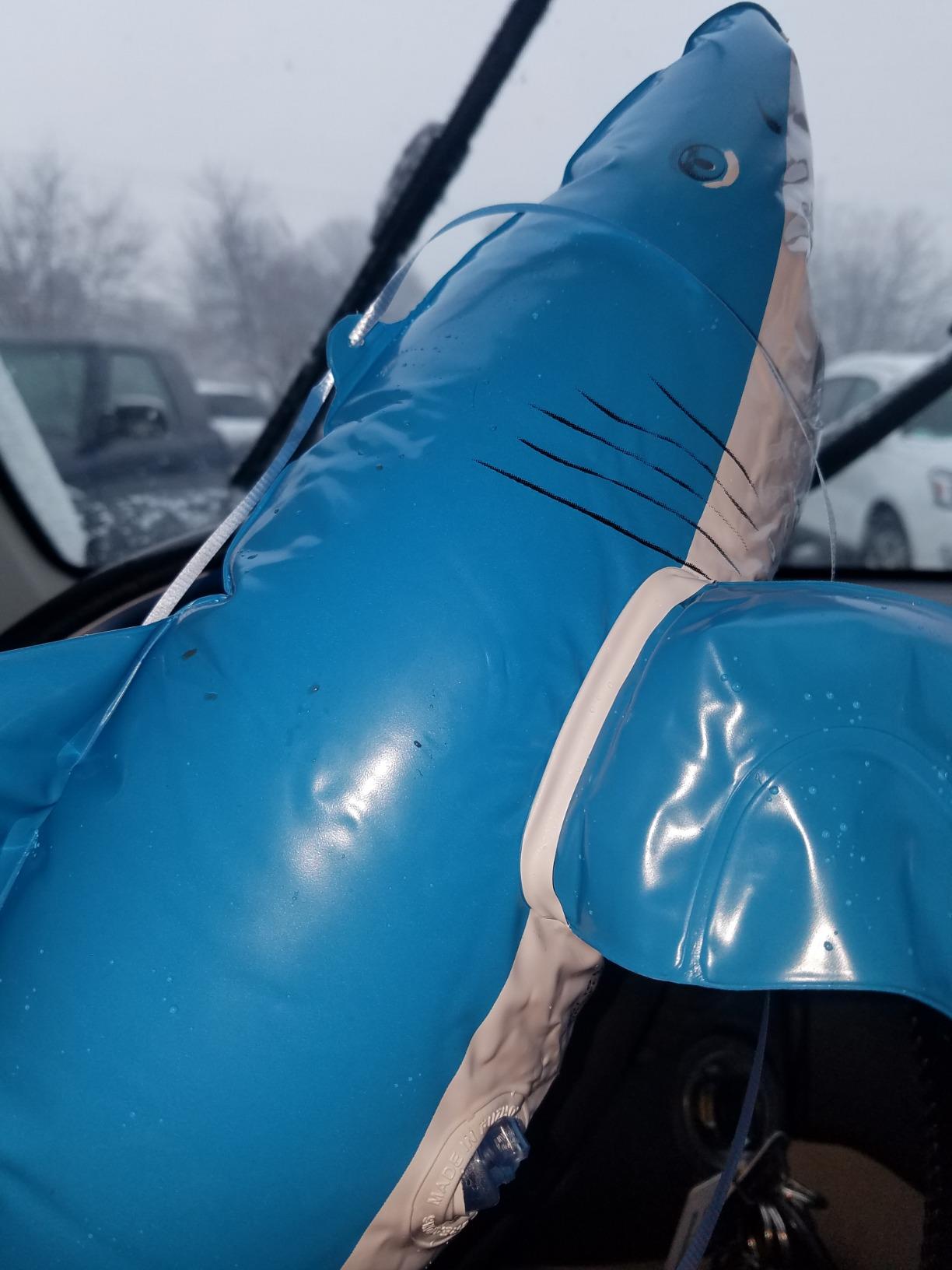 Amazon.com: Jet Creations AN-SHARKY an-SHARKY Inflatable Sharky Decor ...