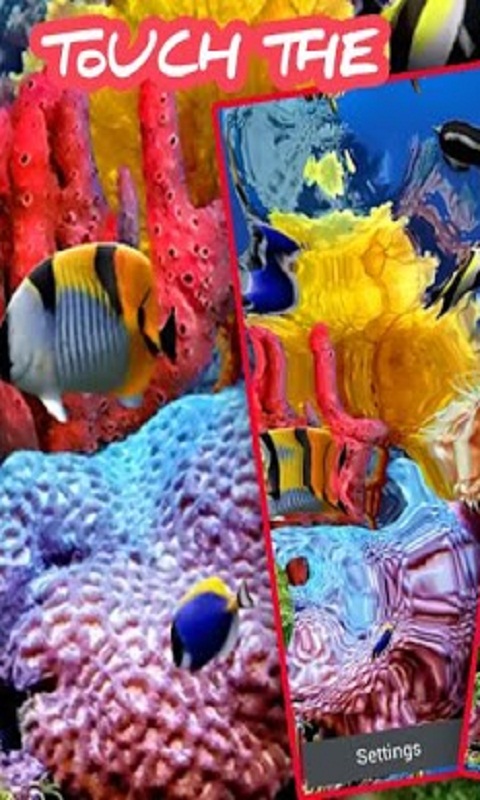 Touch the Fish Live Wallpaper:Amazon.de:Appstore for Android