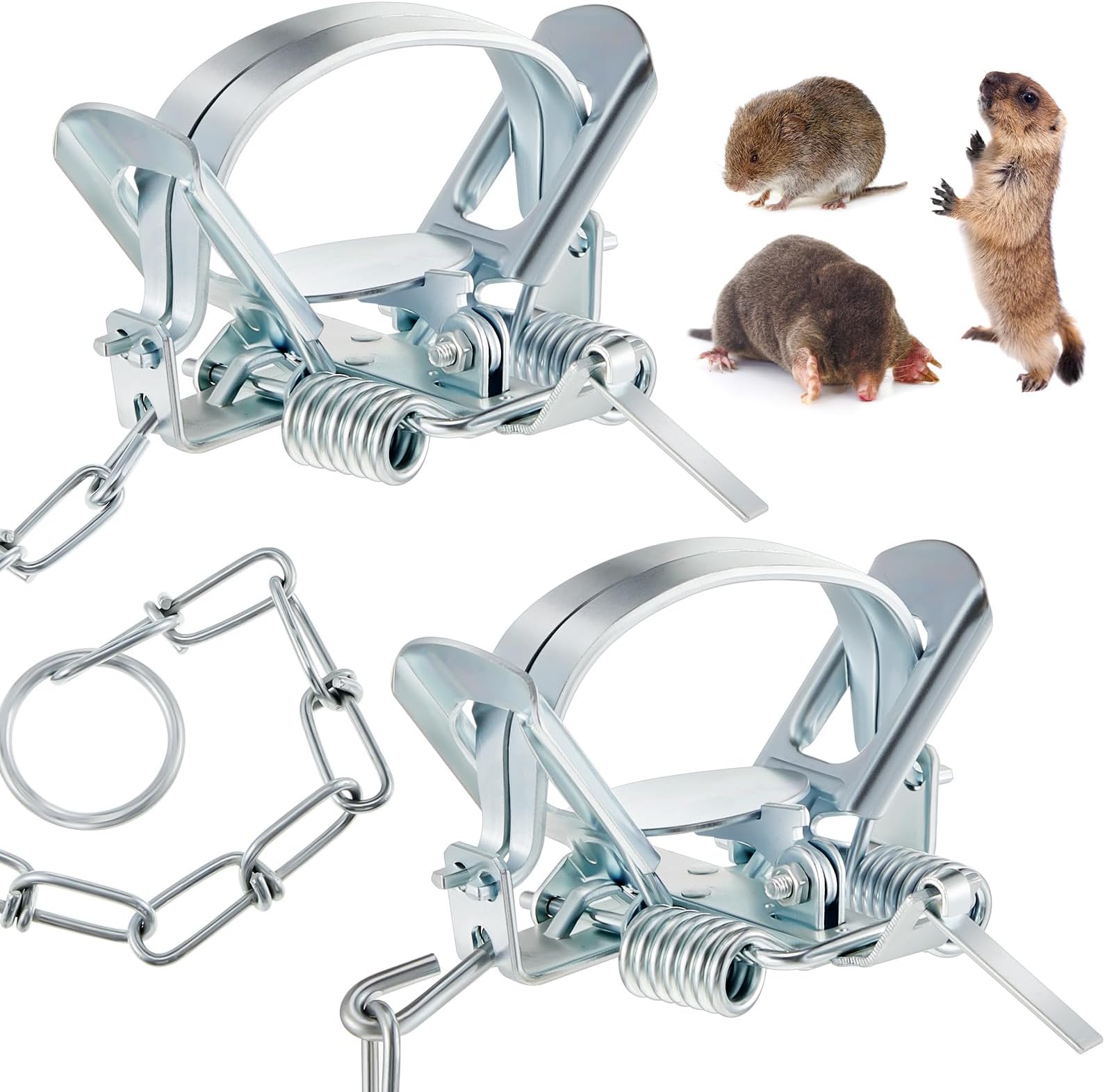 Amazon.com : 2 Pack Small Animal Traps Mouse Trap,Spring Trapt Rodent ...