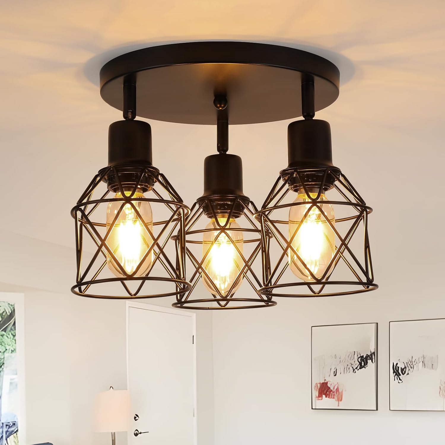 WILON Kitchen Light Fixtures Ceiling Mount, Black Ceiling Light ...