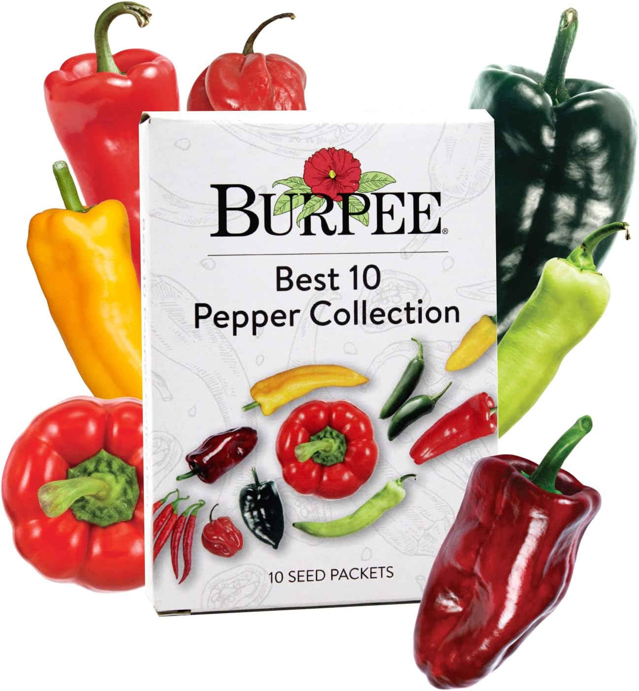 Amazon.com: Burpee Best Collection | 10 Packets of Non-GMO Fresh Mix of ...