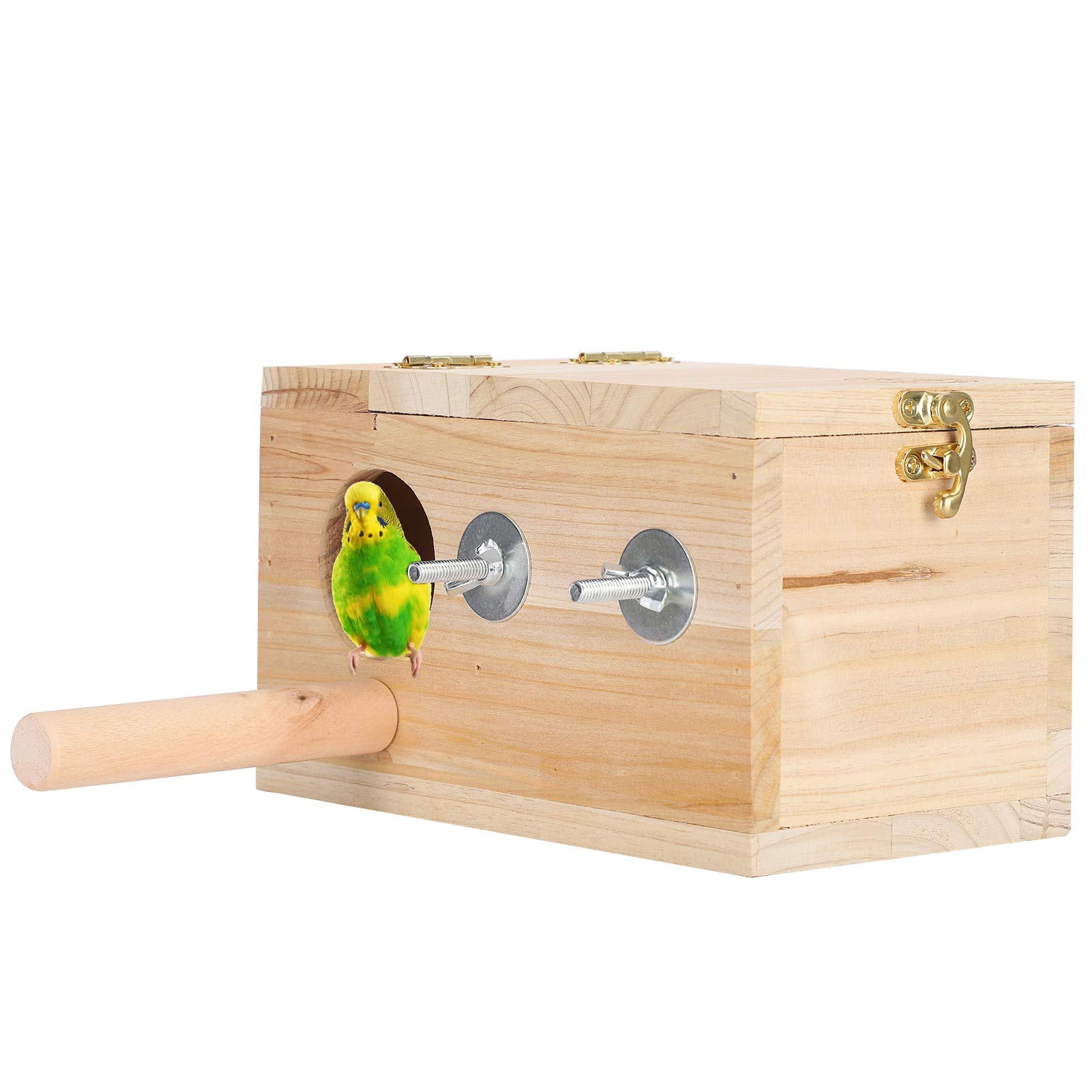 Bird Houses How To Make Birds Cage With Breeding Box Easy Way To Make ...