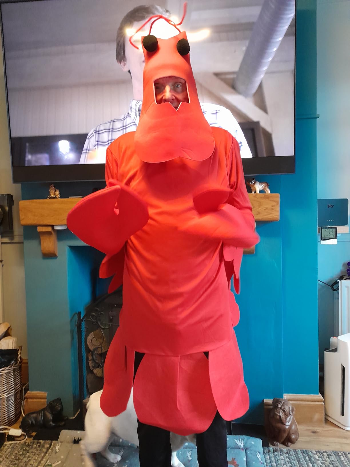 amscan 9908850 Adult Lobster Man Fancy Dress Novelty Costume (Standard ...