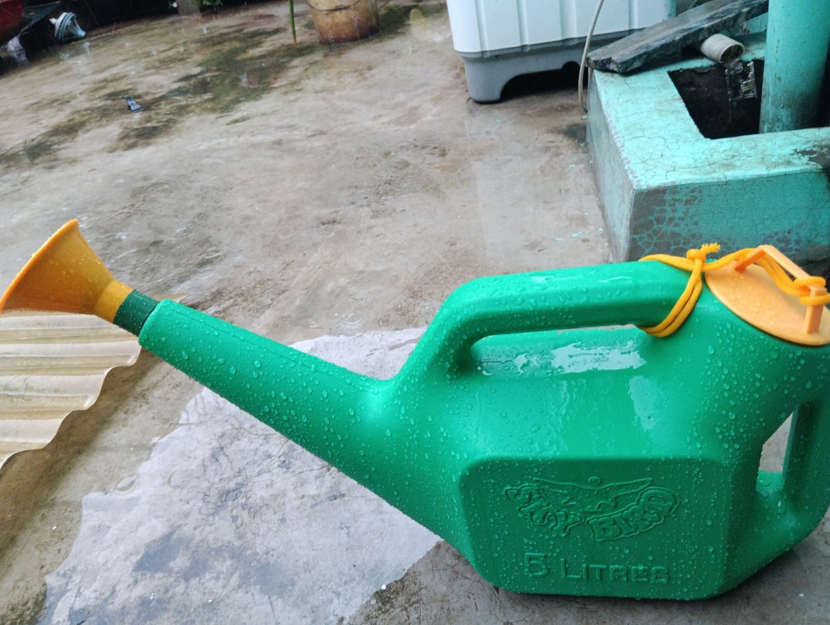 Wearza Skybird Plastic Green Watering Sprinkle Can for Plants/Garden ...