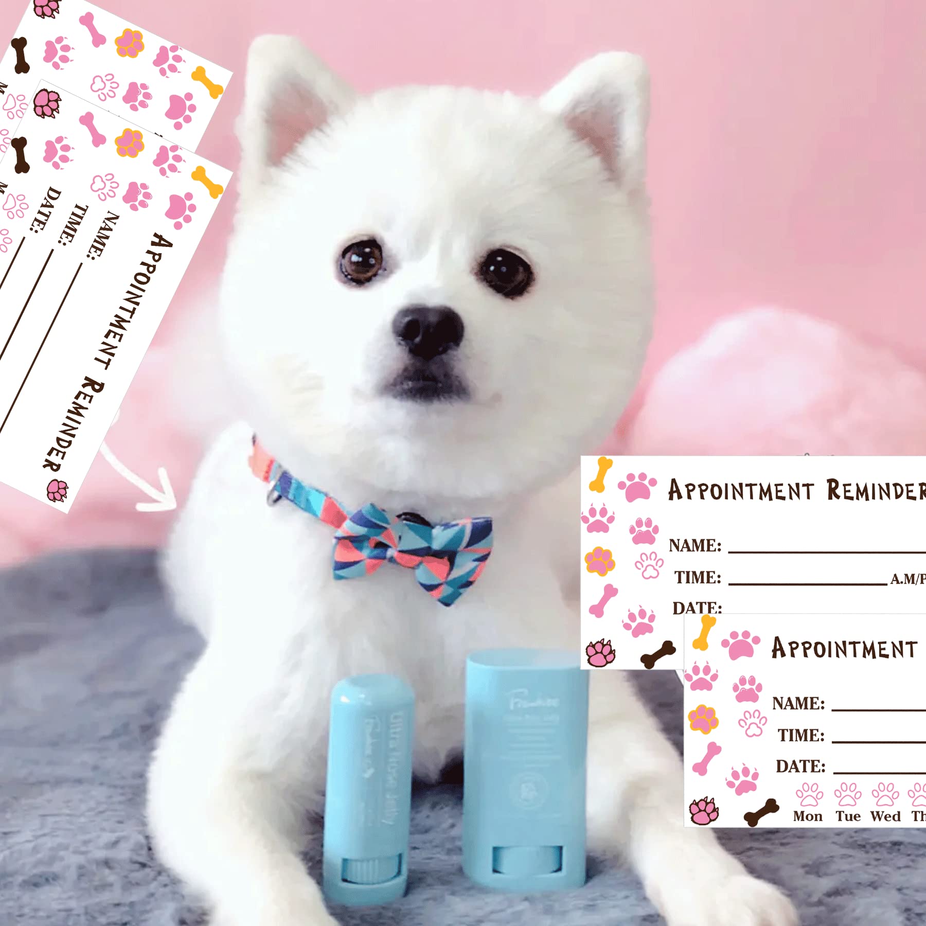 Snapklik.com : Pet Grooming Appointment Reminder Cards 2 X 3.5inch Paw ...