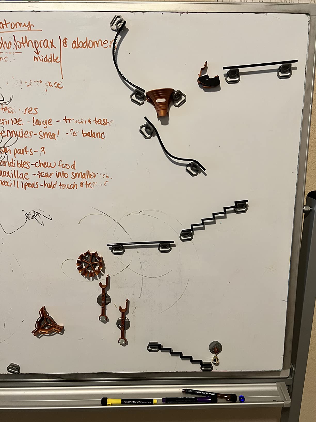 $9/mo - Finance NATIONAL GEOGRAPHIC Magnetic Marble Run - 75-Piece STEM ...