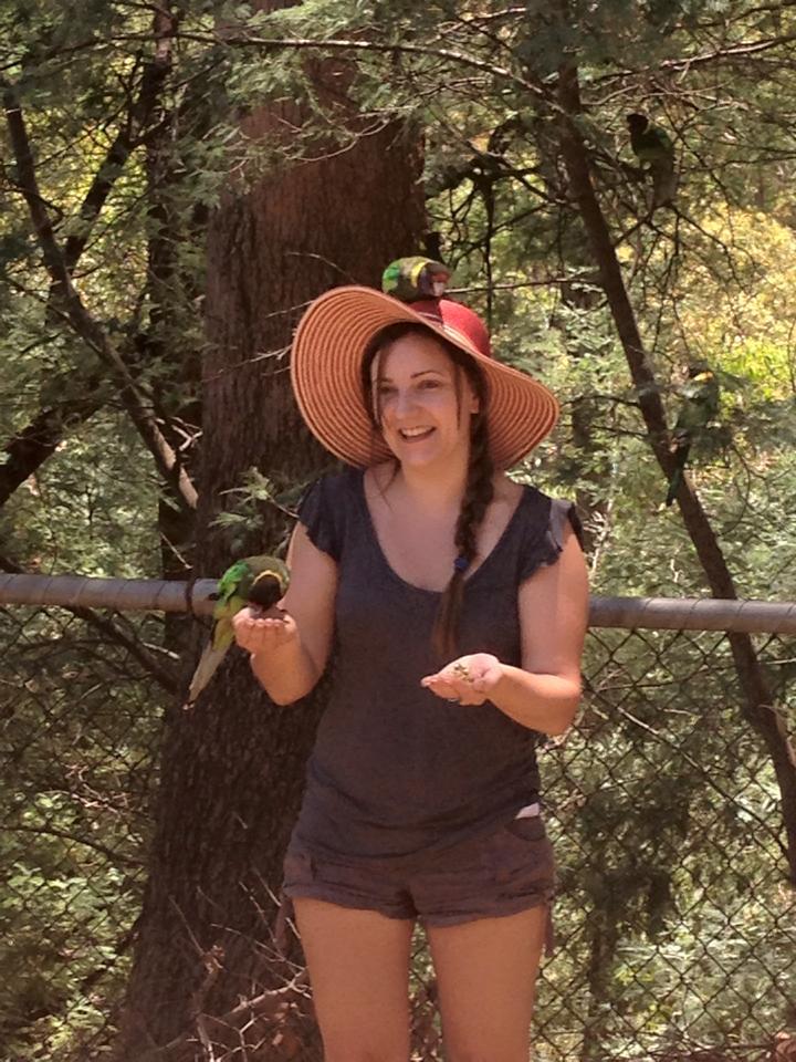 Amazon.in: Rebecca Turner: books, biography, latest update