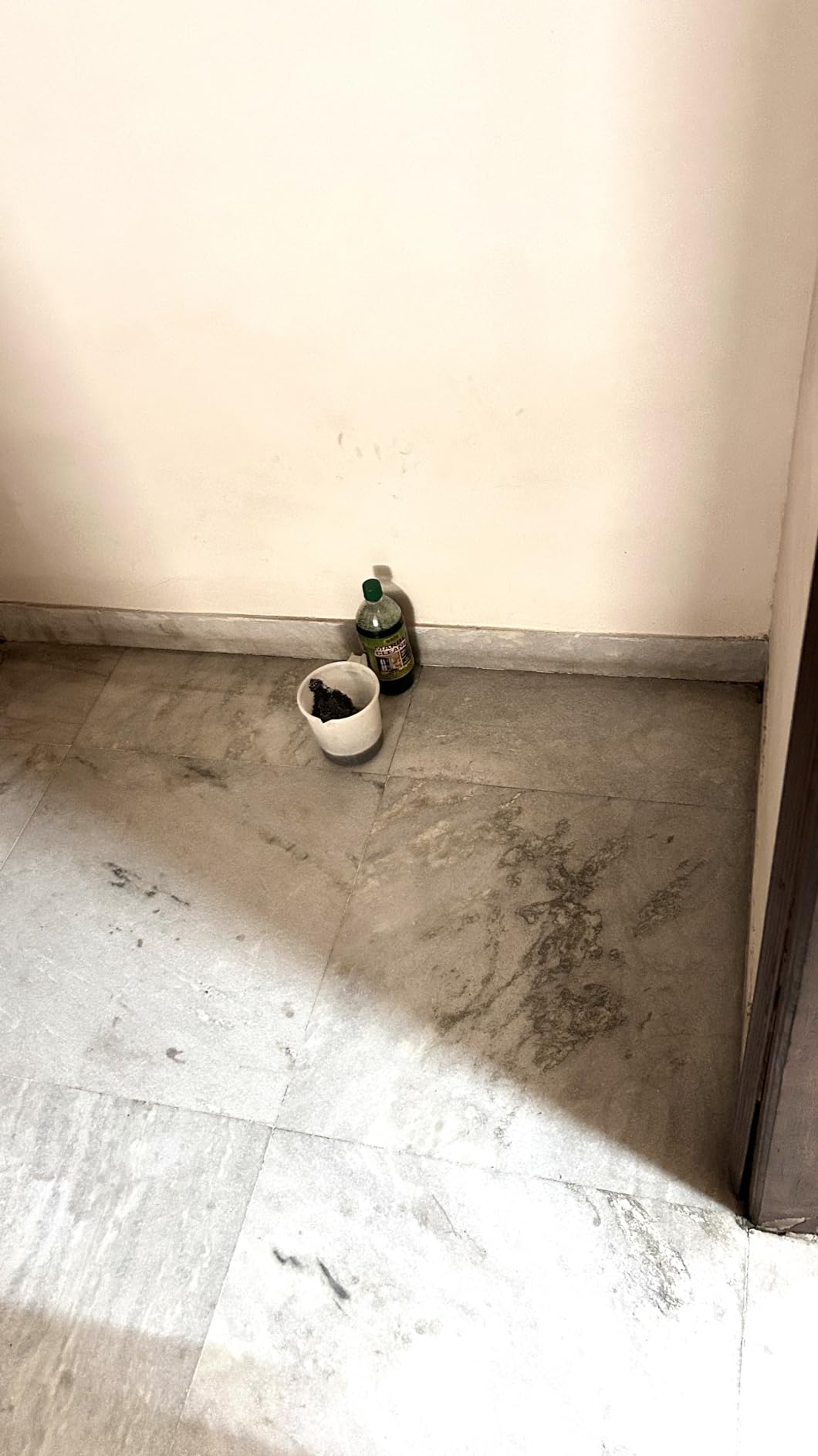 Surie Polex Marble Cleaner 1Ltr : Amazon.in: Health & Personal Care